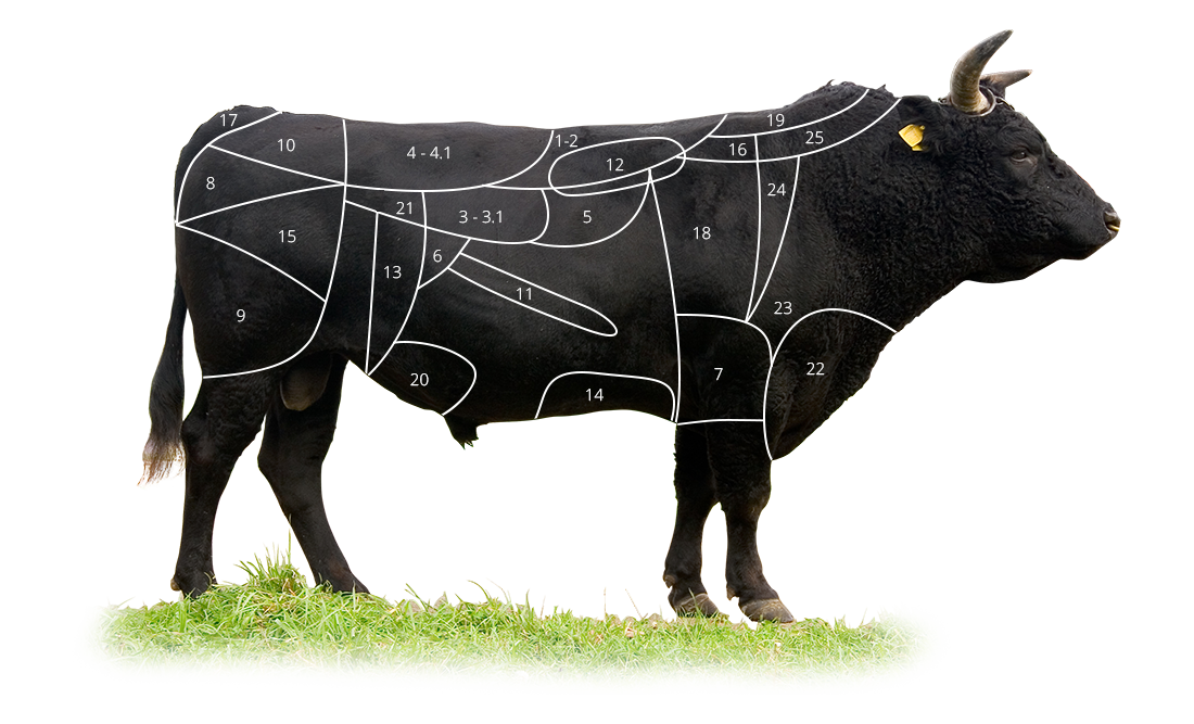 Project of raising high quality Japanese Wagyu cows – GreenCoop Federation